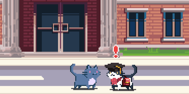 Cat Town